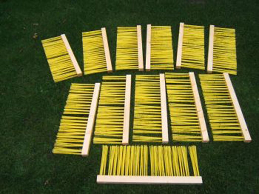 Wessex Sweeper / Collector Brush Set 6 ft Model - Brushes North West